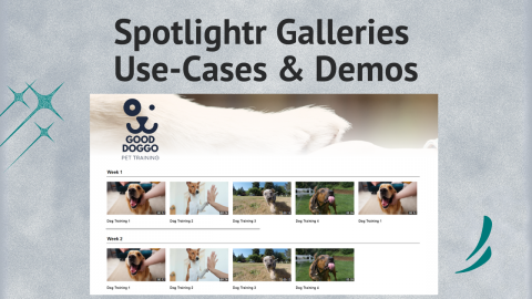 Spotlightr Galleries - Spotlightr